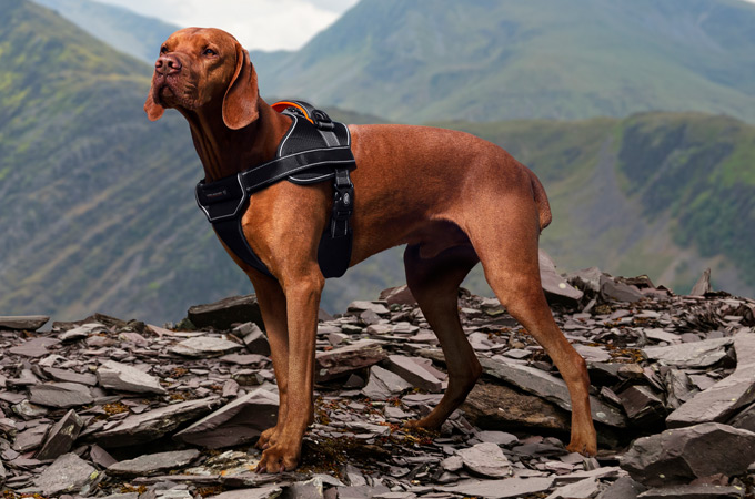 Land Rover | Official Land Rover Merchandise Lifestyle Collection ...